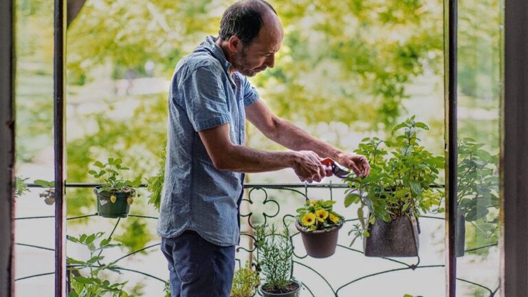 Plantas de balcón para todo el año: la guía completa